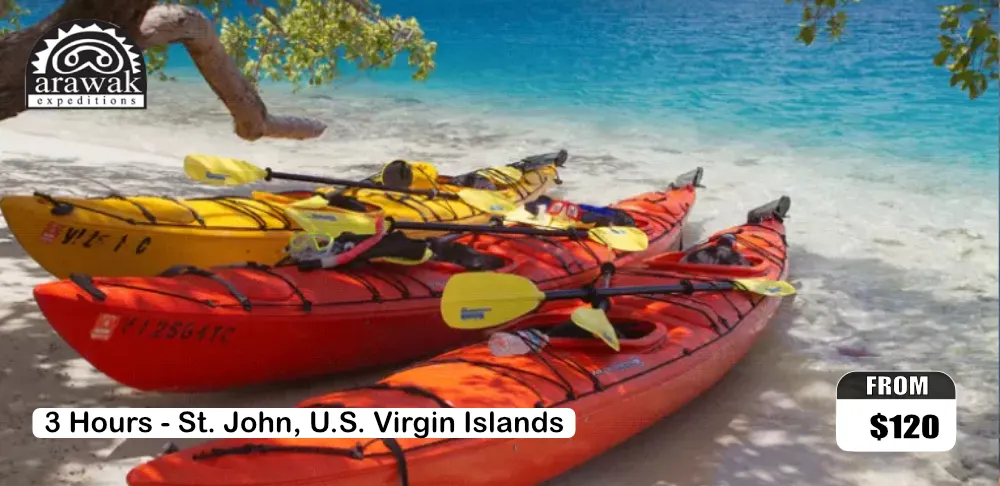 Kayak Excursions