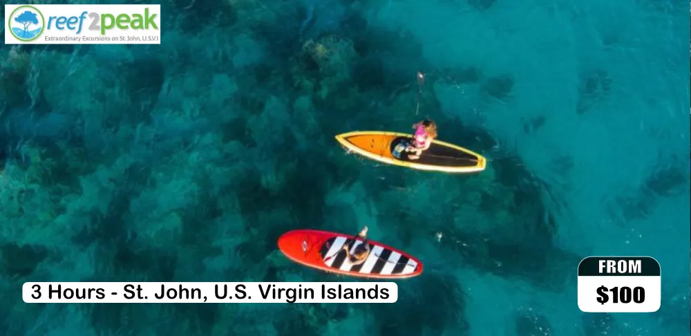 Kayak Excursions